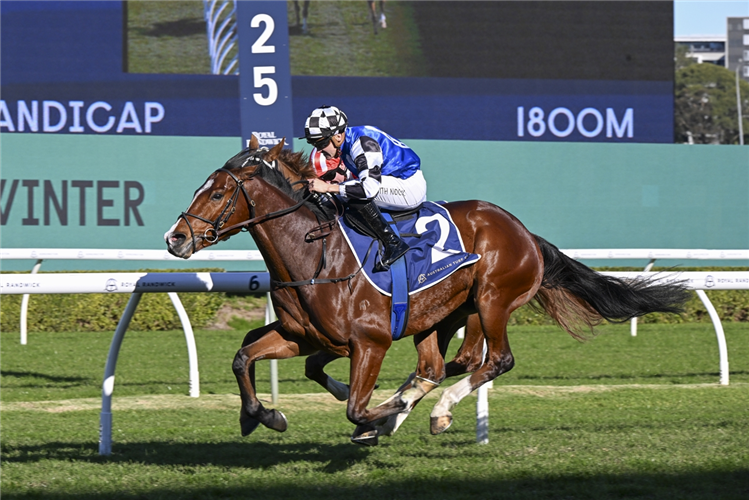 Cup form guide: Payne backs German 'X-factor' to fire