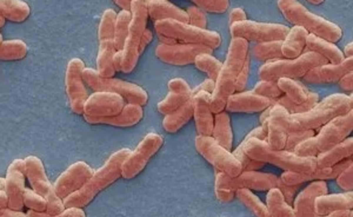 Reporting Leprosy Now Mandatory In Maharashtra, Mandate To Curb Spread