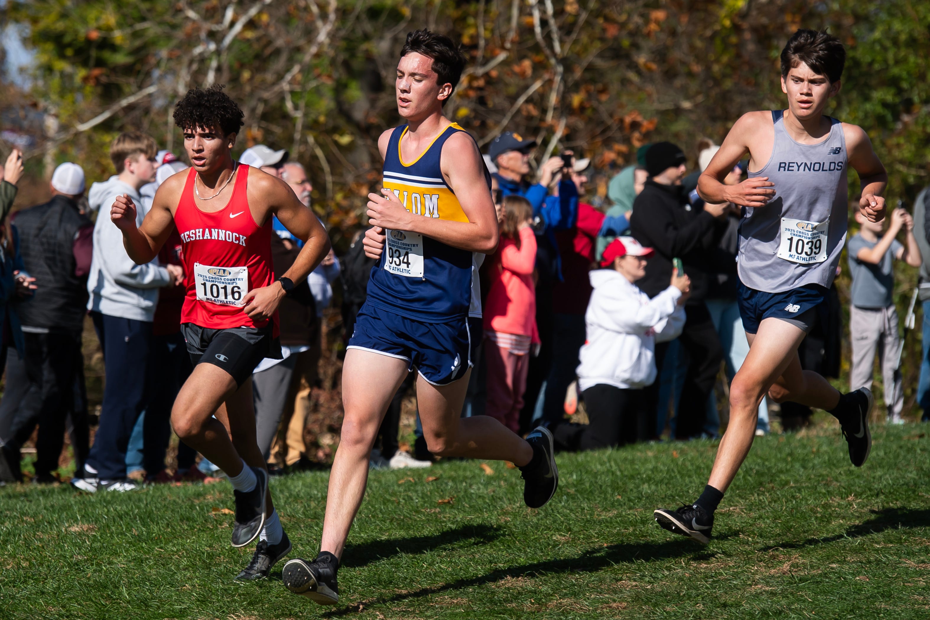 Here's how Franklin County runners fared at the PIAA cross country ...