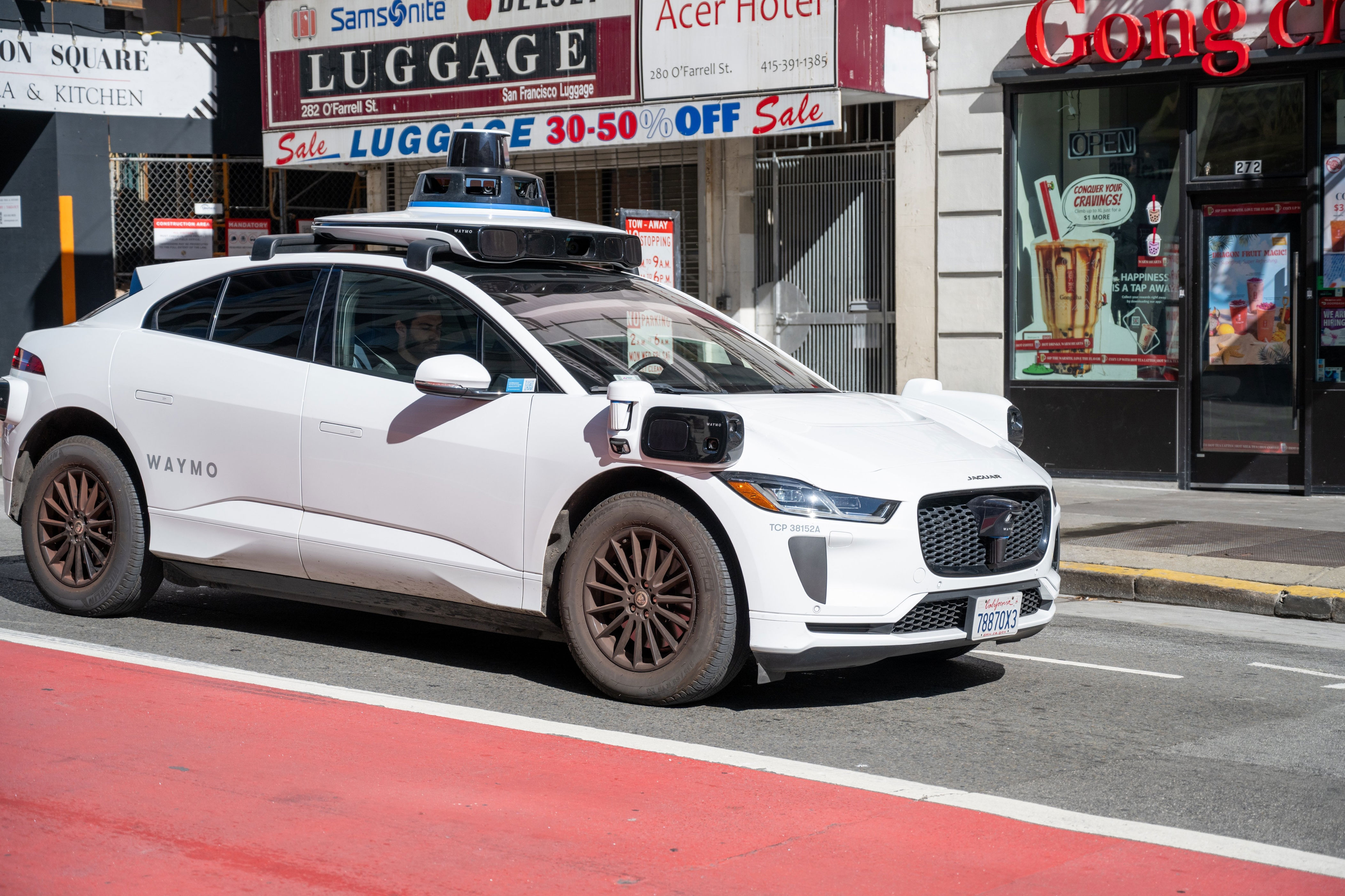 Social media mourns beloved cat hit by Waymo car