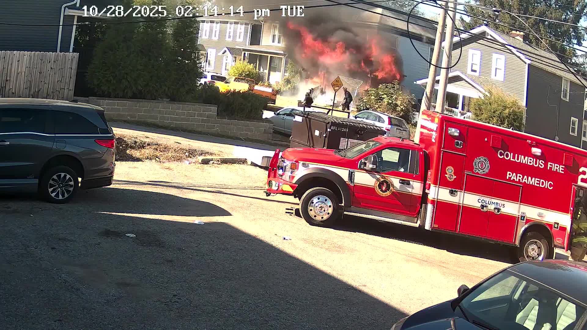 WATCH: Firefighter rescues dog from house fire