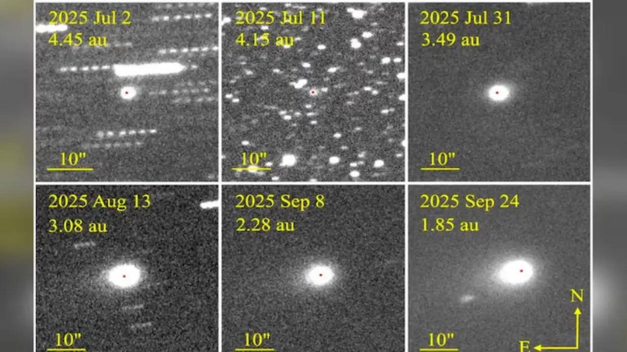 'Never Committing Suicide': The Comet 3I/ATLAS Conversation That ...