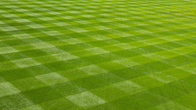 How To Use The Cross-Cut Method For Easily Mowing Your Thick Grass