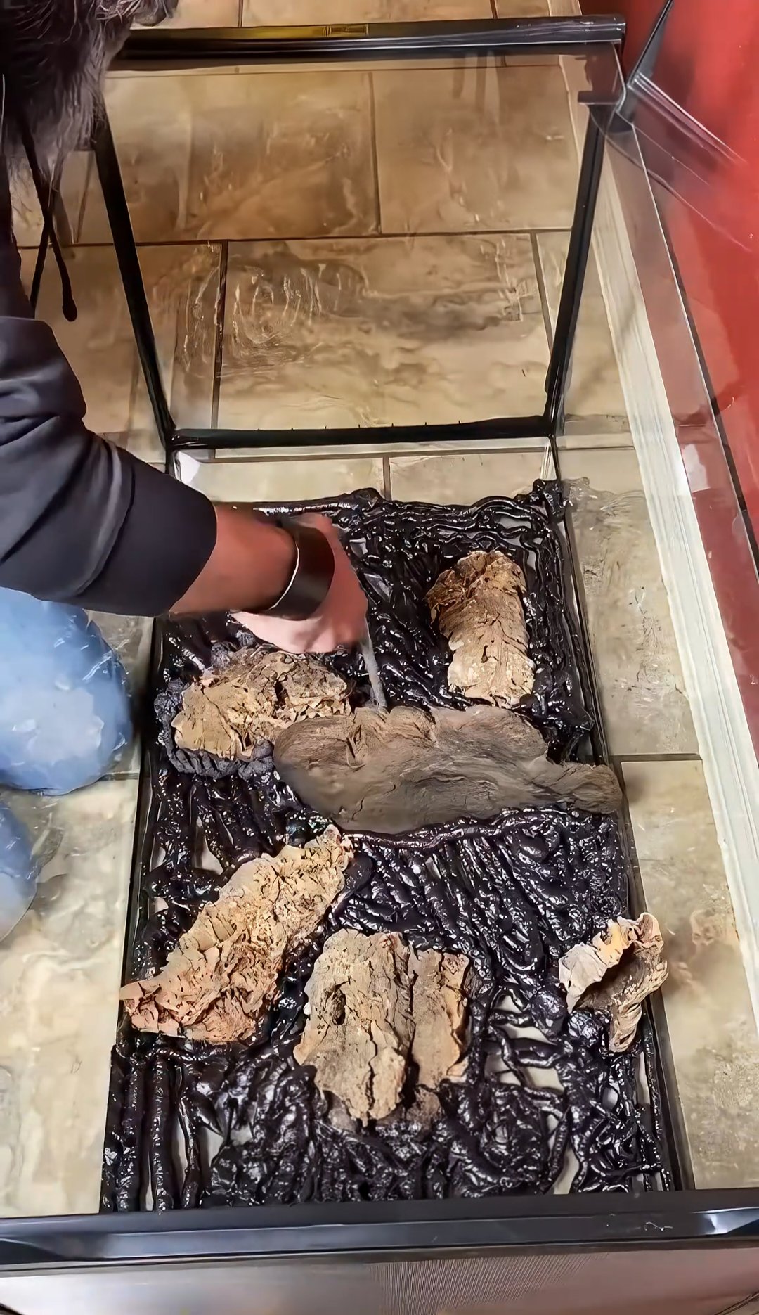 Building a custom snake enclosure!