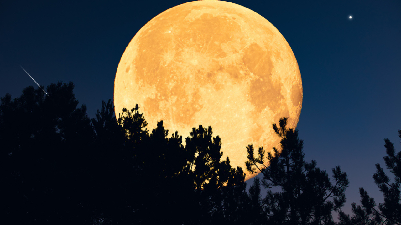 Closest Supermoon Of 2025 On November 5: Timing, Visibility And What To ...