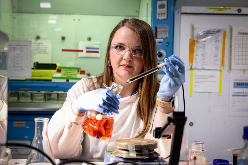 Inside dementia lab growing mini 'brains' to find cure for Alzheimer's ...
