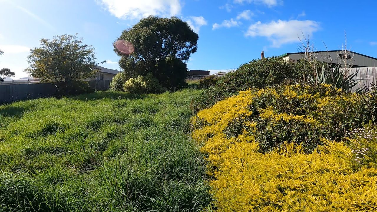 Watch me conquer an overgrown jungle!