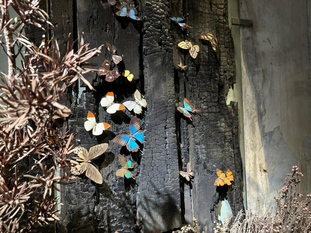 Museum Tanahsahi: Ipoh’s hidden butterfly museum sparks revival in a ...