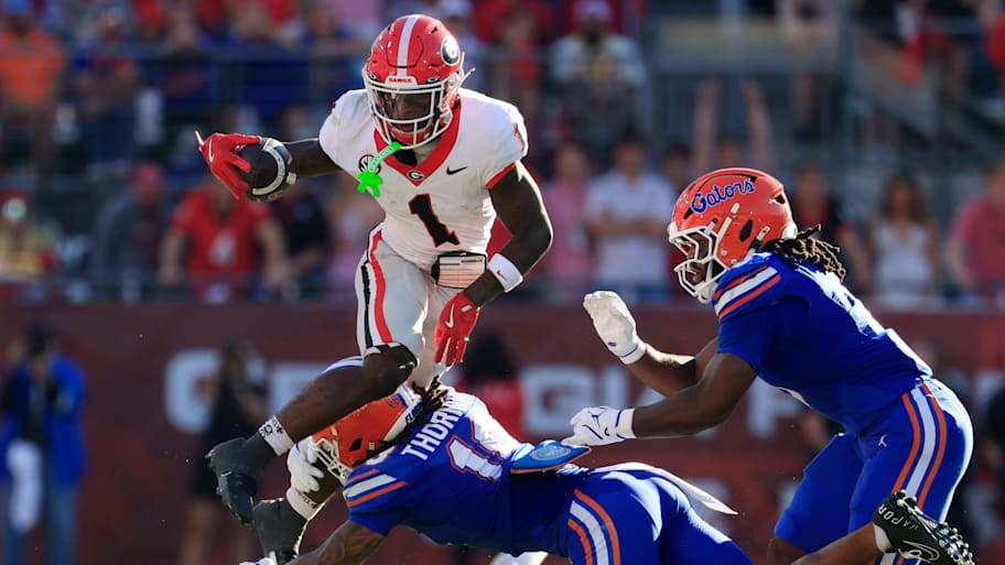 Florida Gators Fall Short with 24-20 Loss to Georgia