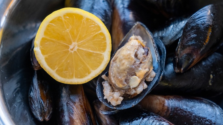 14 Biggest Mistakes To Avoid When Cooking Mussels