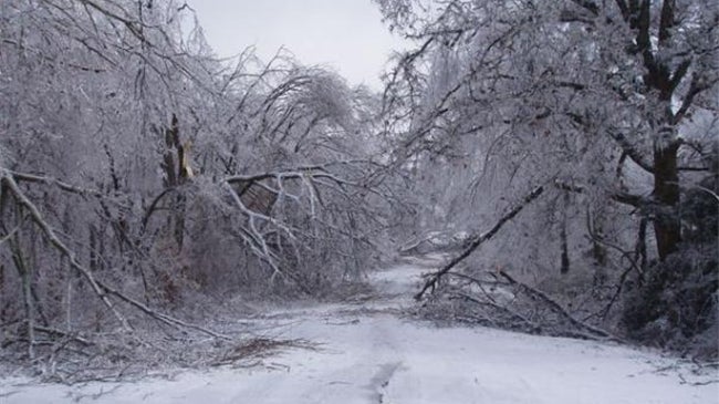 Ice storms: 5 things you need to know