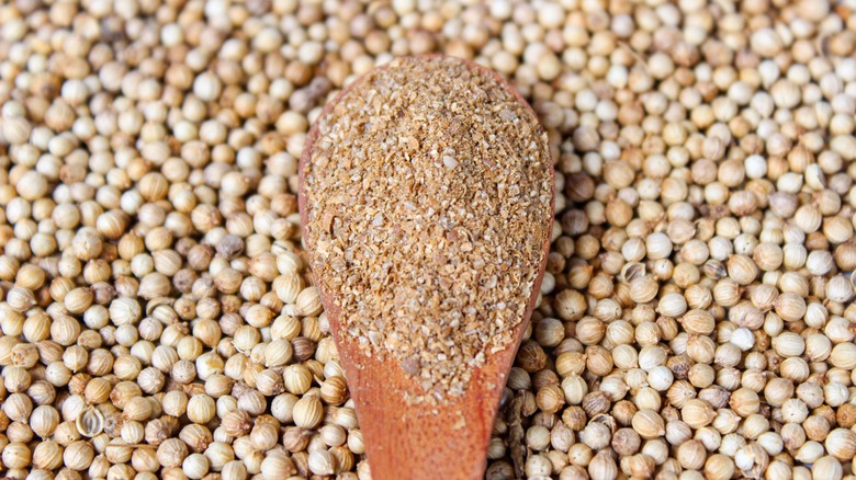 The 5 Key Spices You Need For Indian Dishes