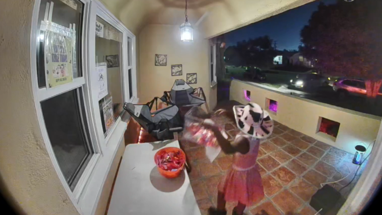 Child, adult steal all the Halloween candy from L.A. home’s porch