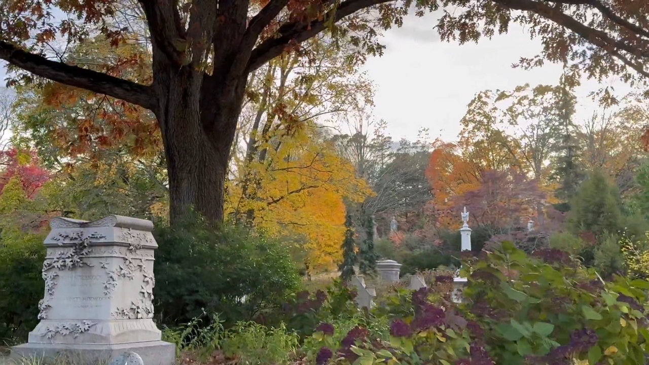 Fall foliage drive near Mount Auburn Cemetery, Cambridge, Massachusetts ...