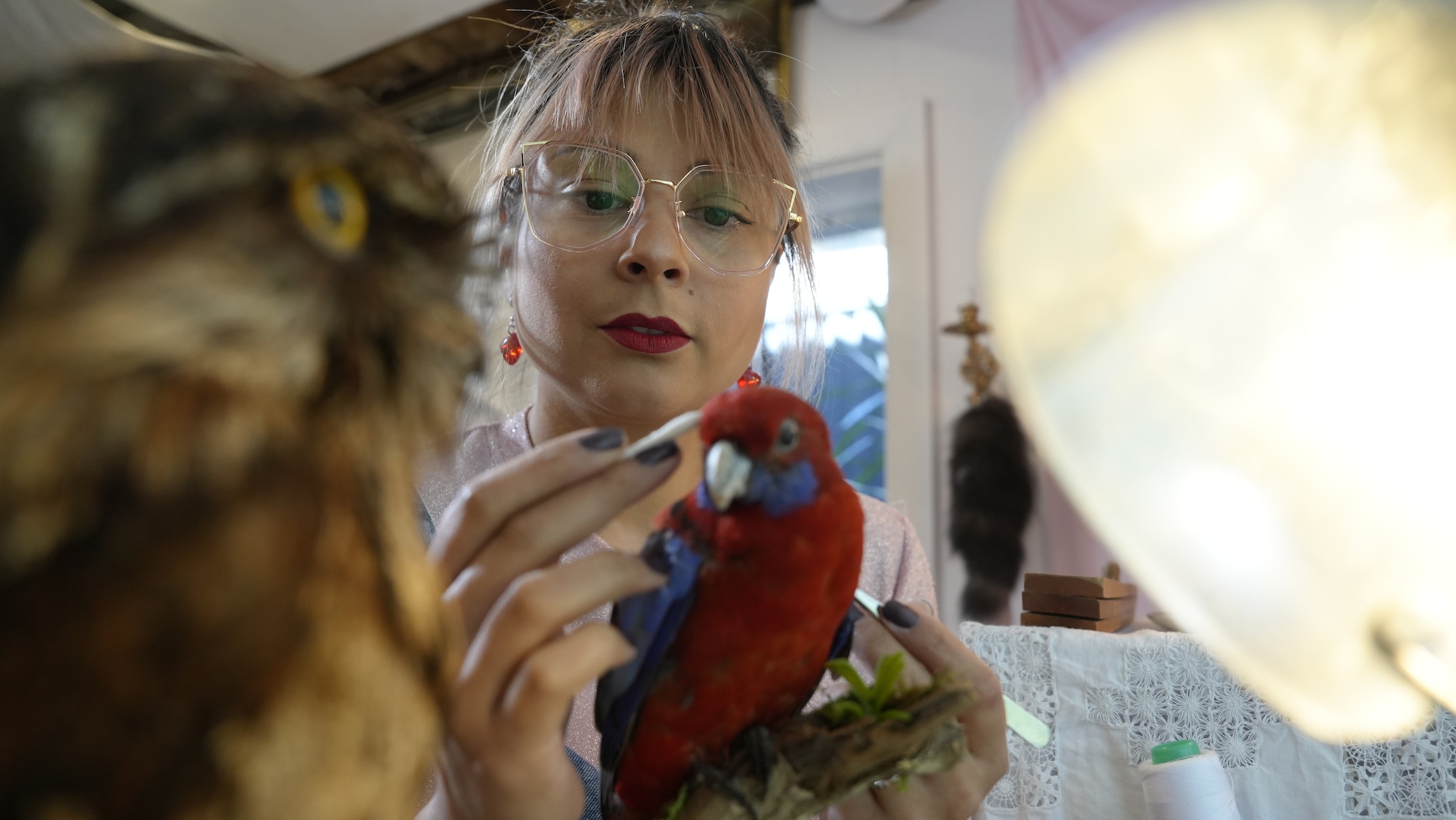 How taxidermists are 'honouring the life' of extraordinary creatures ...
