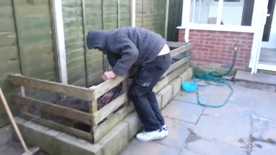 My Dad Drunk and Falls Over Wooden Fence