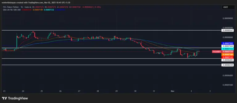 FEG Token Price Prediction 2025-2031: Will the FEG Price Go Up?