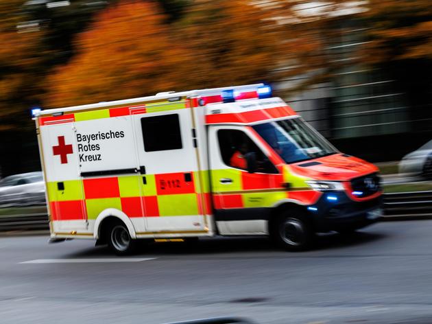 Von Baum erschlagen: 23-Jähriger stirbt bei Waldarbeiten