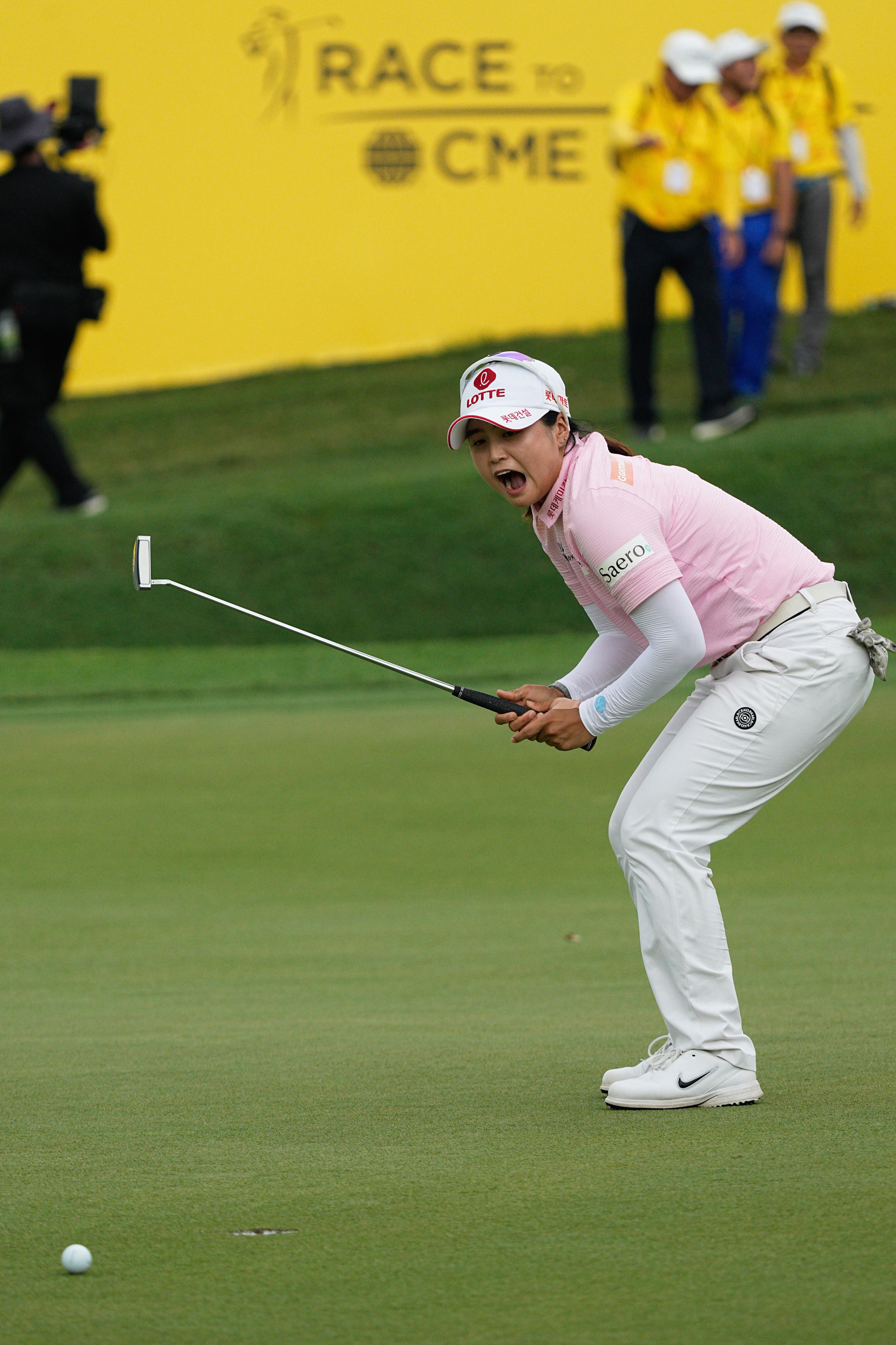 Choi Hye-jin Falls Short in Playoff, Third LPGA Runner-up