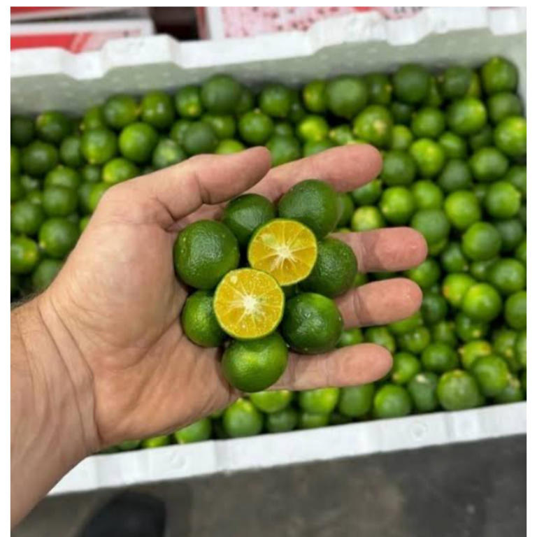 Resep Es Jeruk Songkit Khas Pontianak, Asam Manis dan Sedikit Asin ...