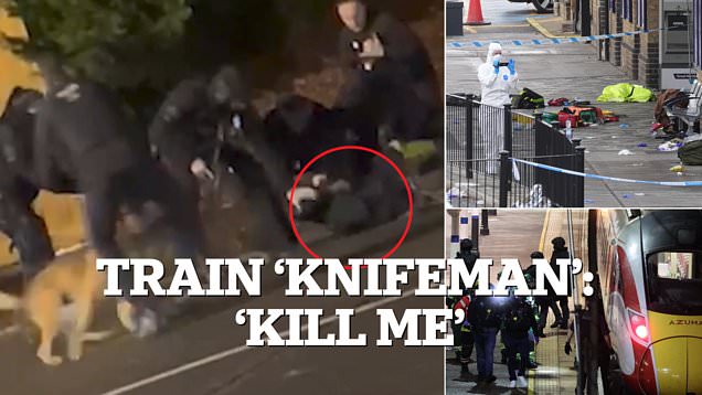 Dramatic moment Huntingdon train suspect wrestled to floor by police