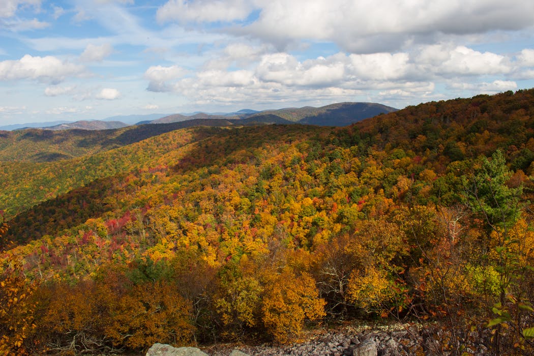 12 Scenic Micro-Adventures Under 24 Hours That Feel Like Bushcraft Trips