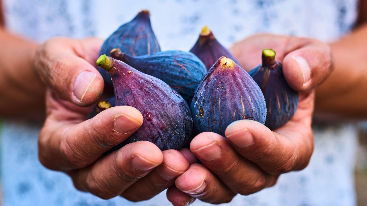 15 Biblical Foods Still Gracing Modern Dinner Tables