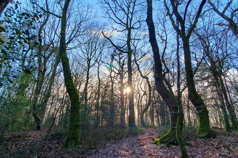 Spooky Surrey walk picked as perfect location for Tom Cruise to film ...