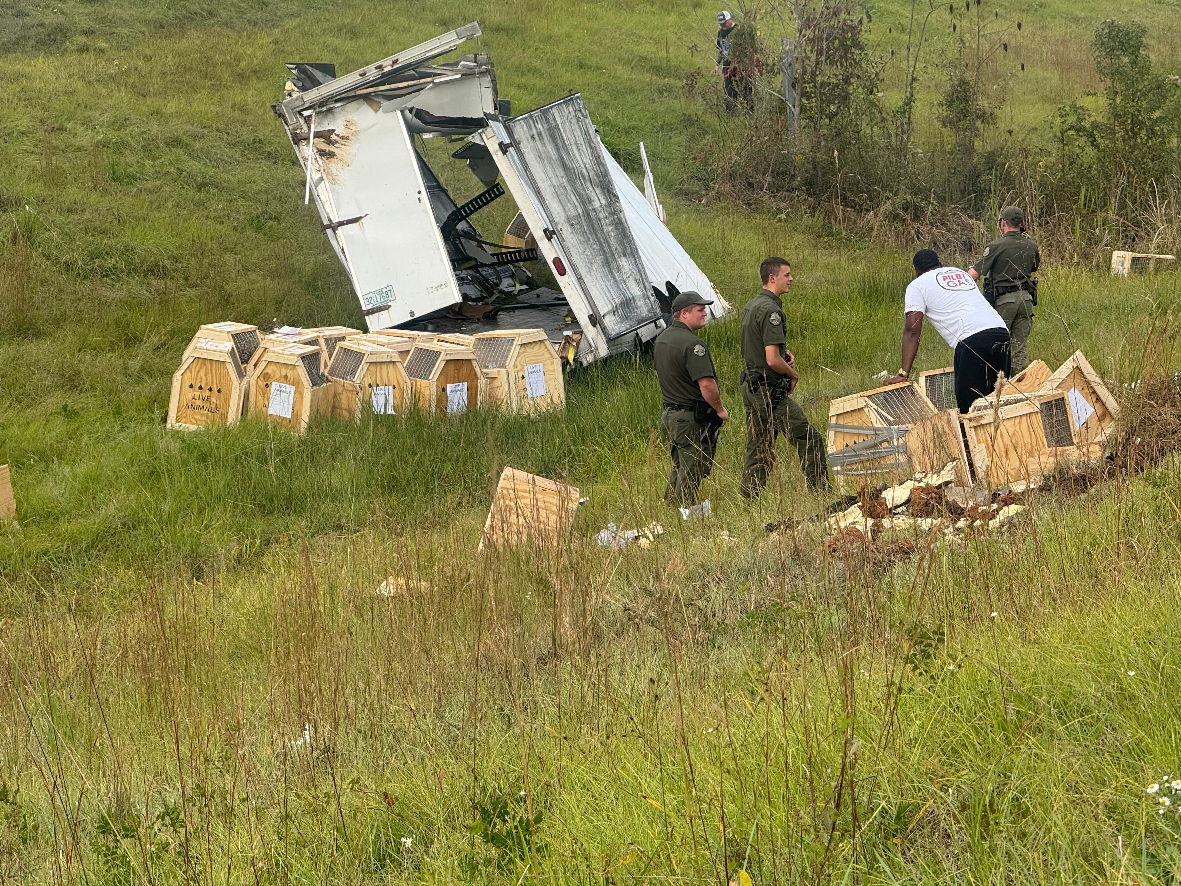 Biomedical research organization takes ownership of monkeys