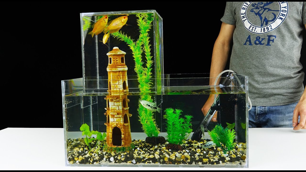 How to build unique multi-level aquarium v2.0