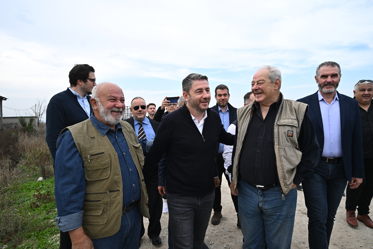 Ν. Ανδρουλάκης: «Ο πρωθυπουργός είναι πρωταγωνιστής της καταστροφής του ...