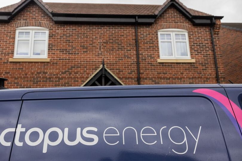 Octopus Energy issues Direct Debit warning to all customers