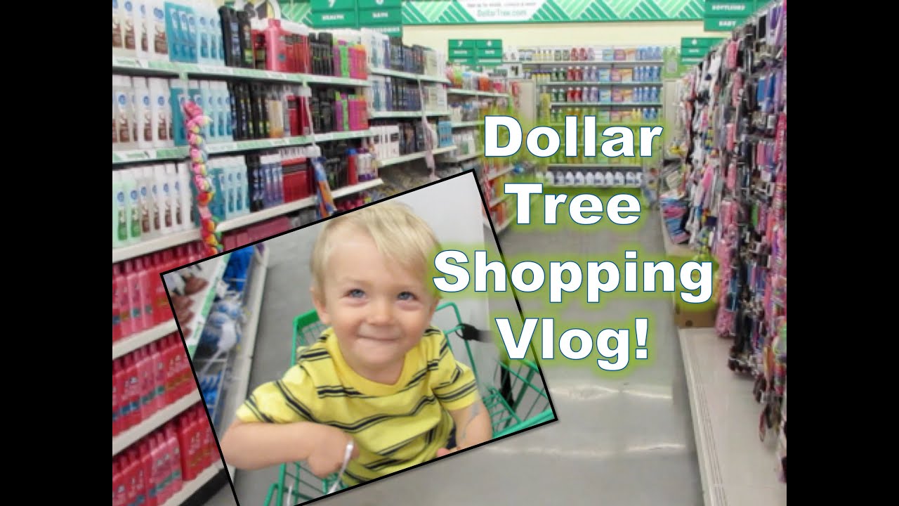 DOLLAR TREE HAUL: Shopping Vlog!