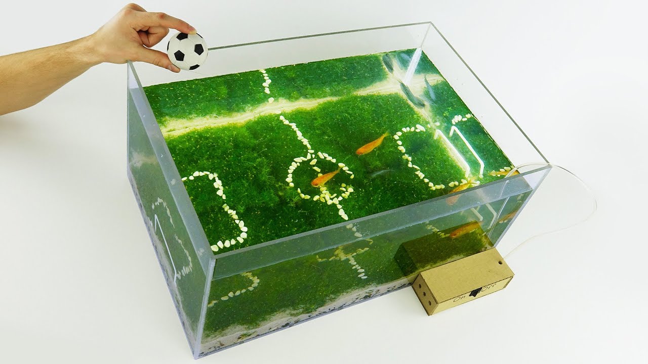 How to Make Unique Aquarium Football World Cup 2018 at Home