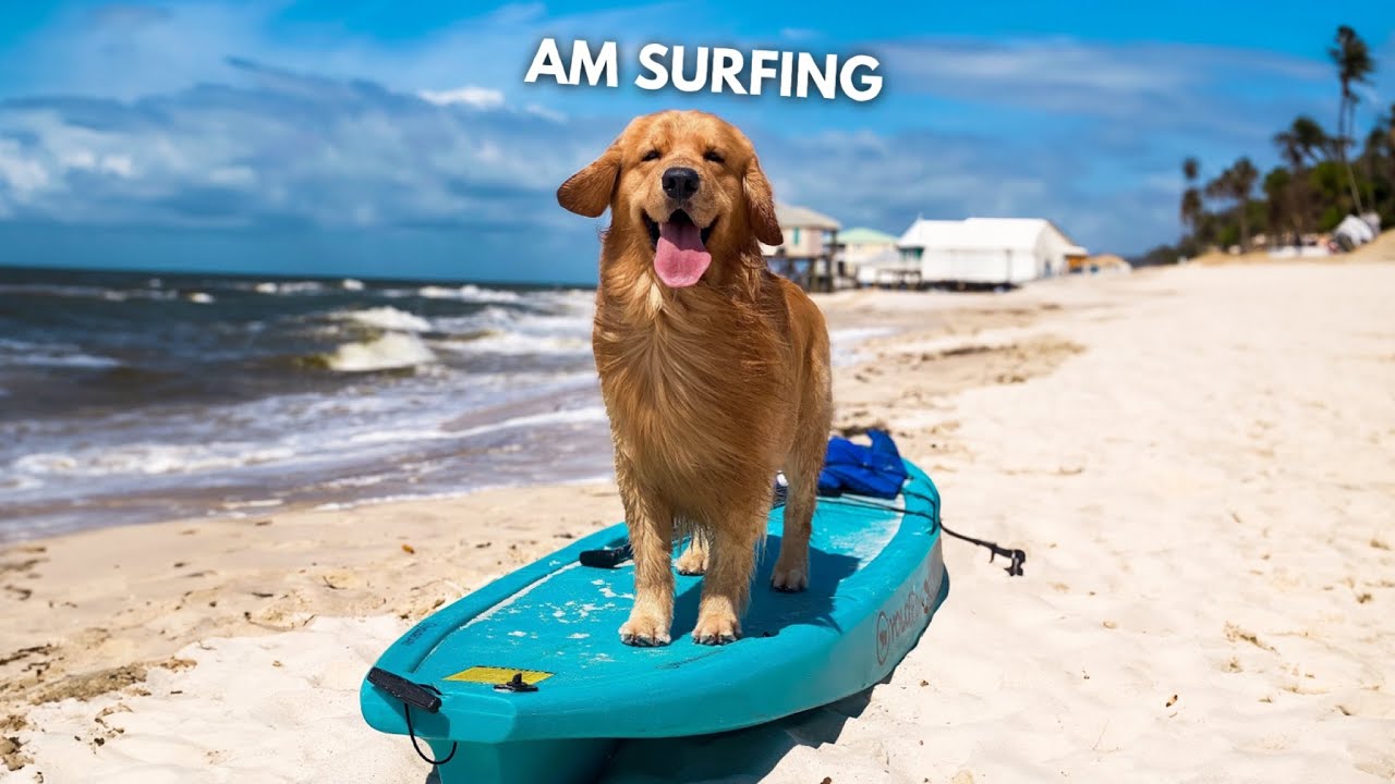 From Surfing to Flooding!