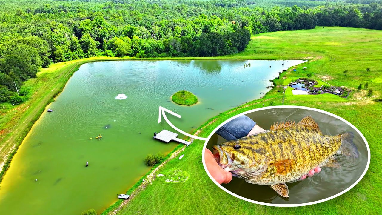 Adding Smallmouth Bass to the 5 Acre Pond!