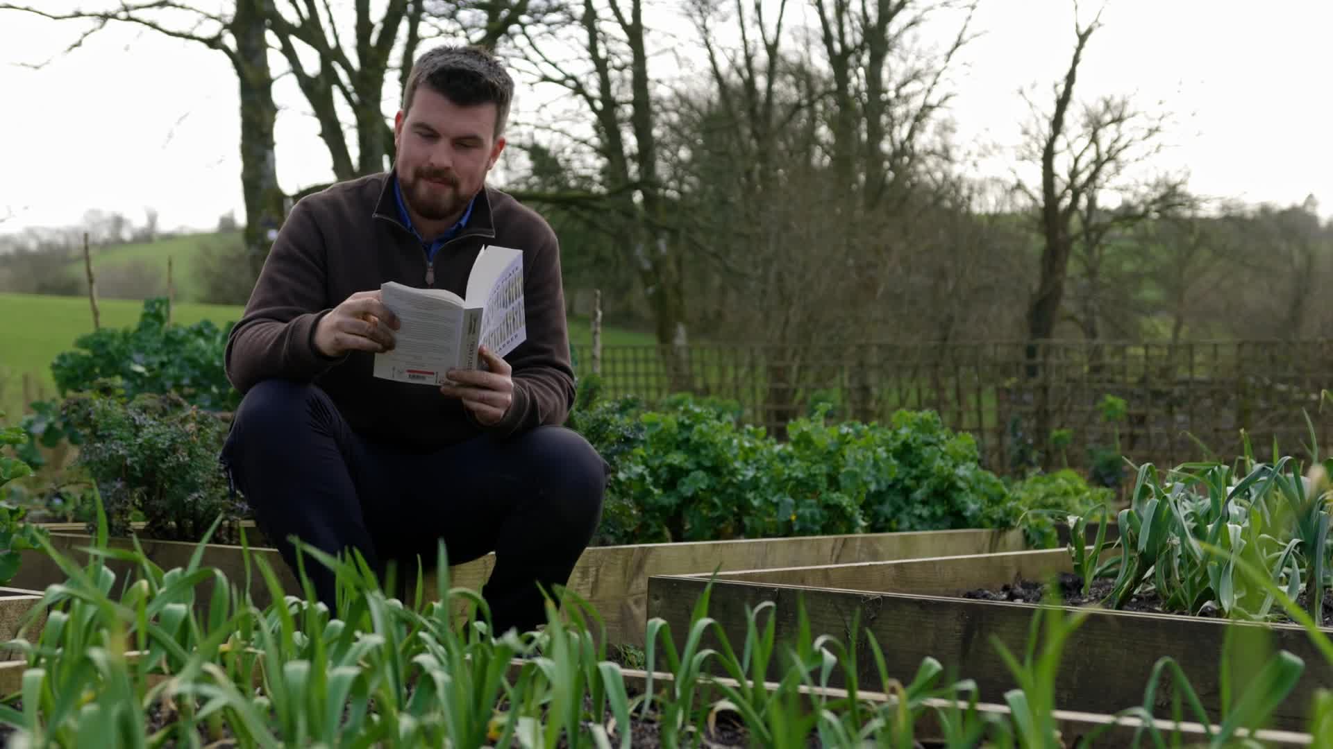 The connection between taste and nutrient density in vegetable gardening