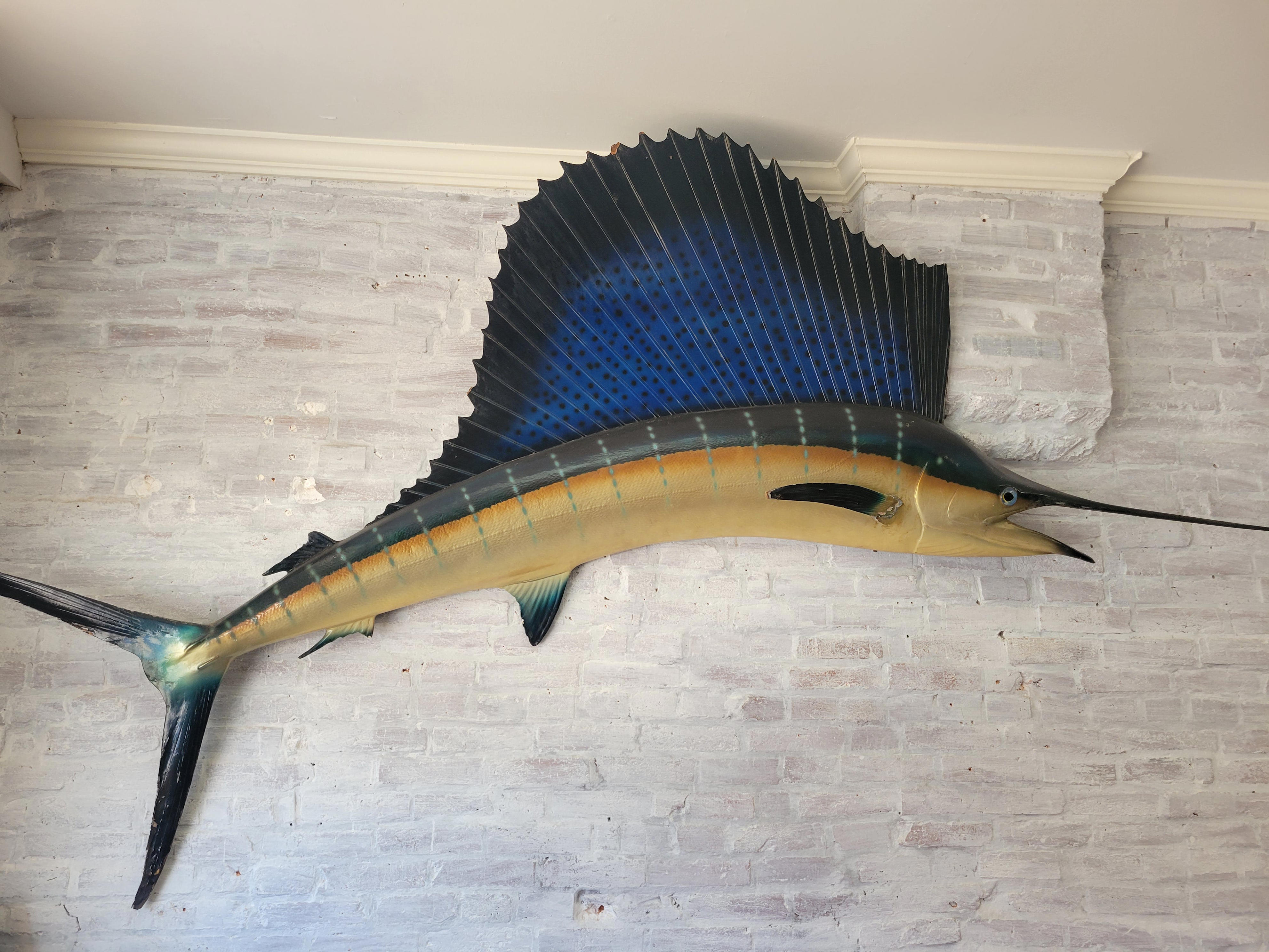 Roaming St. Louis: 'Catch' some Cuban flair at Soulard's Cafe Miami