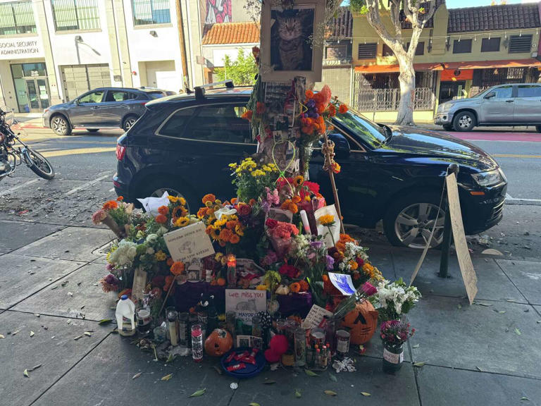 A week after a Waymo self-driving car killed a beloved cat, San ...