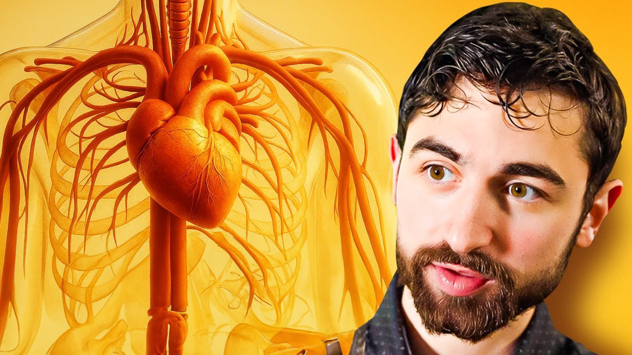 New gut molecule links diabetes and heart disease