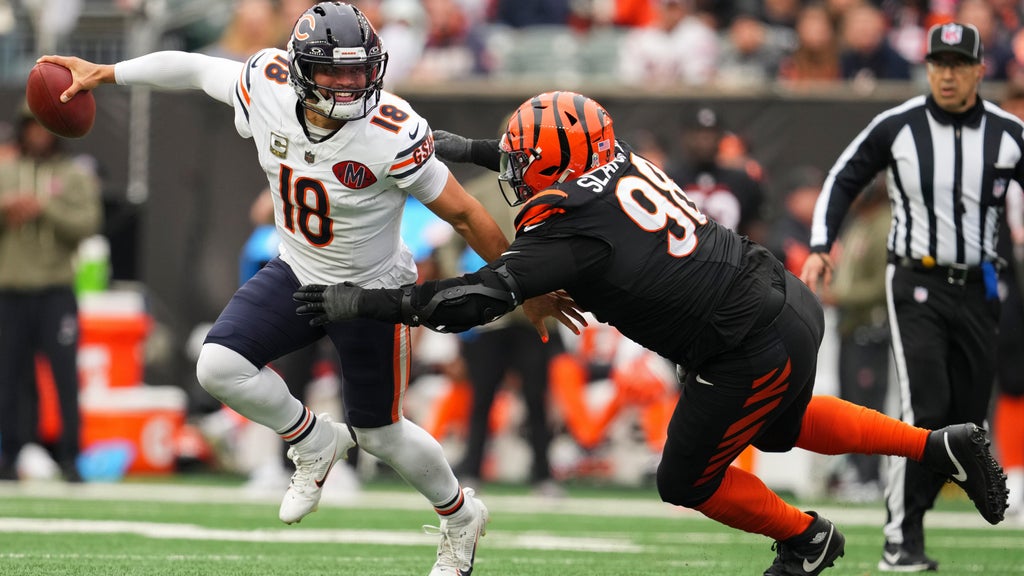 Bears outlast Bengals for wild 47-42 win on Williams' TD pass to ...