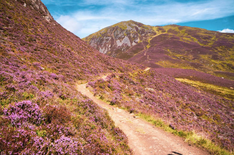 Scotland has places so wildly beautiful they don’t look like they ...