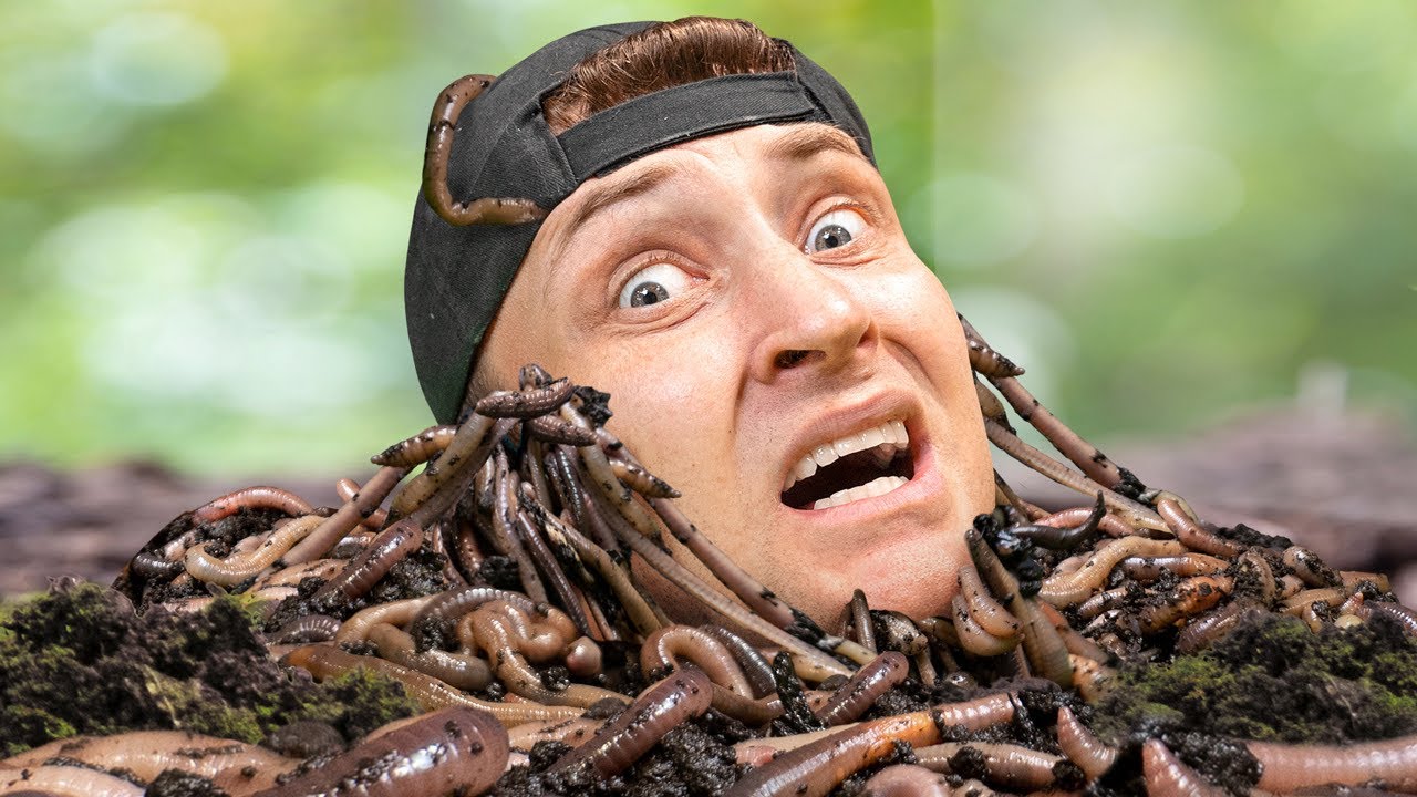 Last to leave worm pit wins