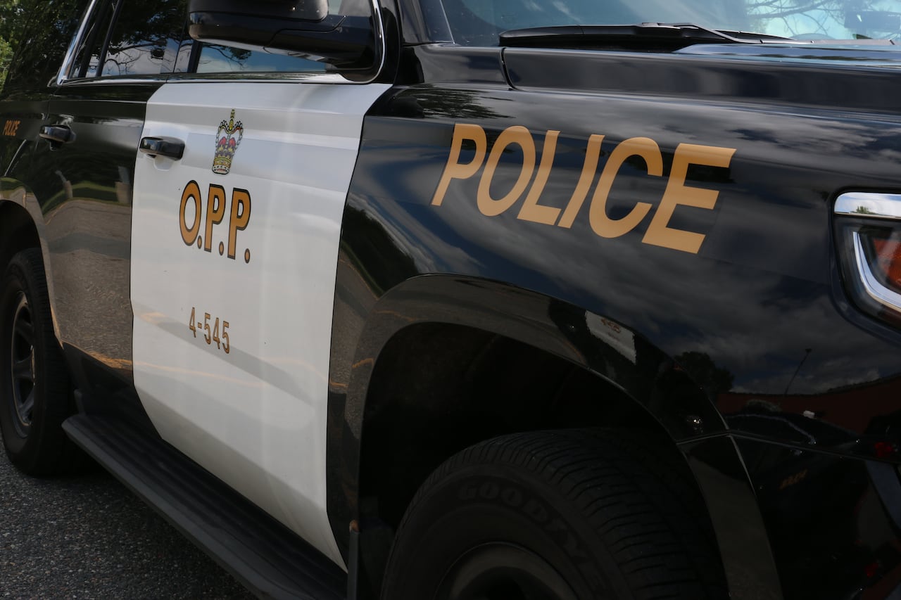 19-year-old pedestrian dead after collision involving OPP cruiser in ...