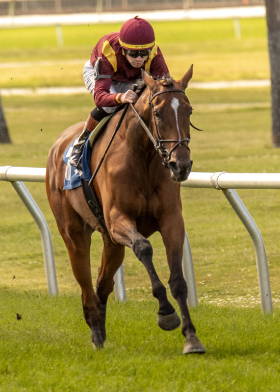 Way To Be Marie Set For Distance Test In Long Island