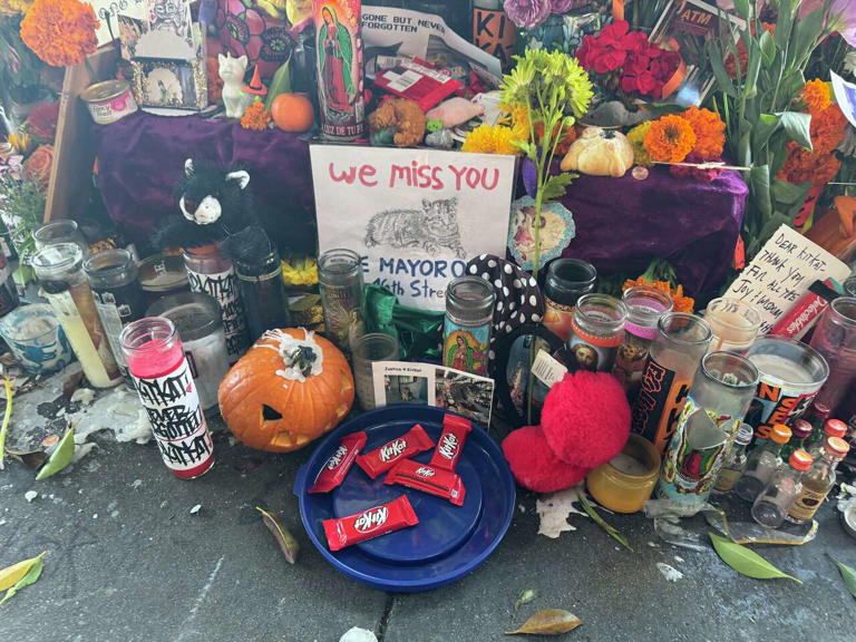 A week after a Waymo self-driving car killed a beloved cat, San ...