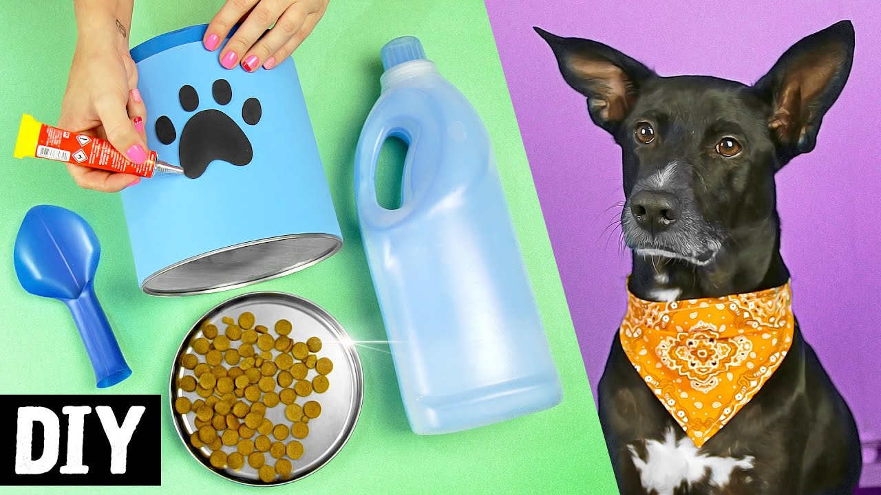 DIYs 🐶 Pet lovers 🐾 lenço, potinho de ração e