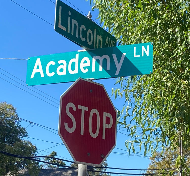 Woodland’s Back Roads: Academy Lane separated by utility poles