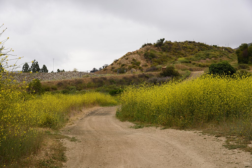 11 U.S. Forest Trails Known for Confusing Hikers