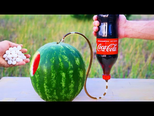 Top 10 tasty fruit lifehacks and experiments with cola and watermelon!